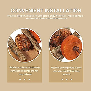 PATKAW Guinea Pig Natural Wooden Round Platform Bird Cage Branches Parrot Wooden Blocks Bird Nuts Toys for Budgie Conure Parrot Parakeet Cockatiel Lovebird Cage Accessories Rabbit Toys