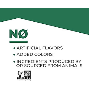 Evolve Plant Based Protein Shake, Café Mocha, 20g Vegan Protein, Dairy Free, No Artificial Sweeteners, Non-GMO, 10g Fiber, 11oz, (12 Pack) (Formula May Vary)