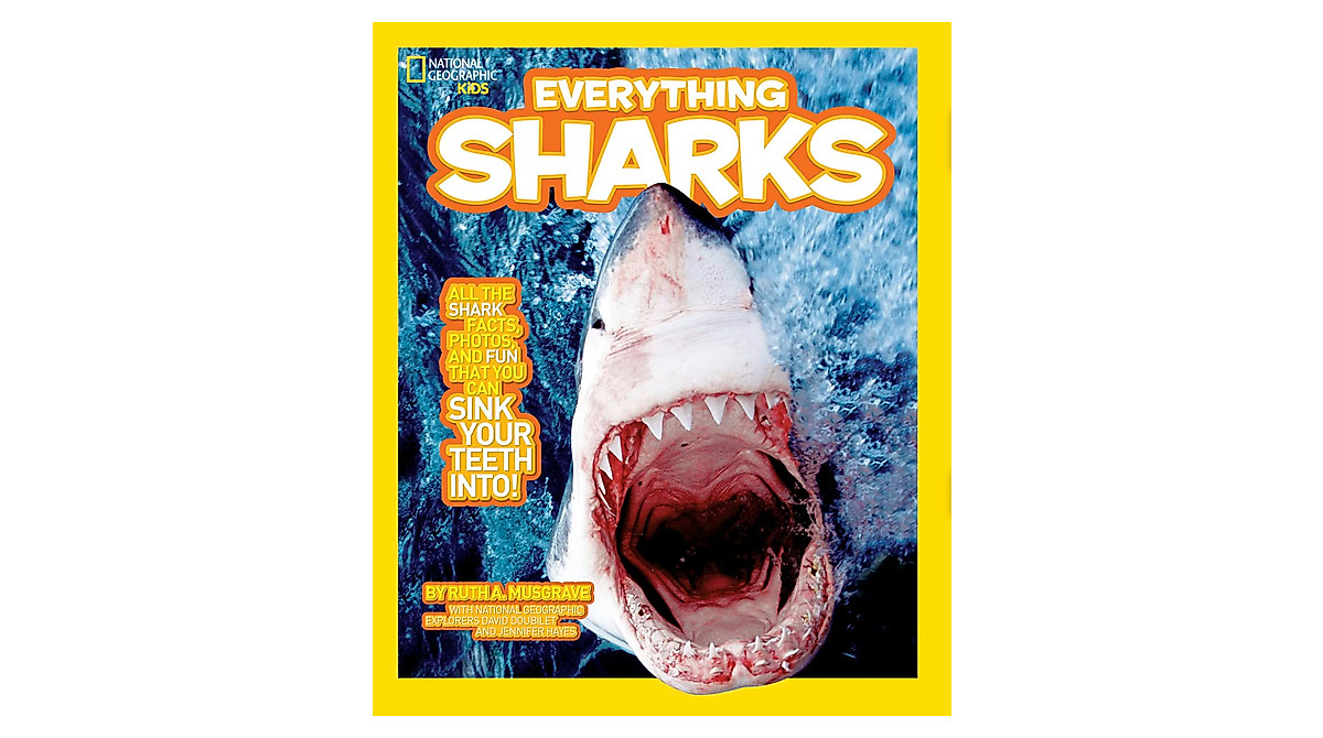 National Geographic Kids Sharks Book: Fun Facts & Photos for Kids