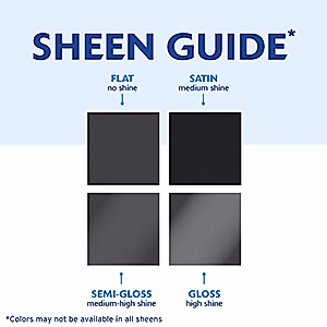 Rust-Oleum 334029-6PK Painter's Touch 2X Ultra Cover Spray Paint, 12 oz, Gloss Clear, (Pack of 6)