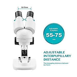 DLOETT 2 0X / 40x Stereo Microscope 45 ° Tiltted Eyepieces with Eyecup Top LED Vision PCB Saler Mobile Repair Tool