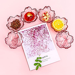 4pcs Glass Sakura Shape Small Seasoning Dishes Dipping Bowls Appetizer Plates,3.4inch