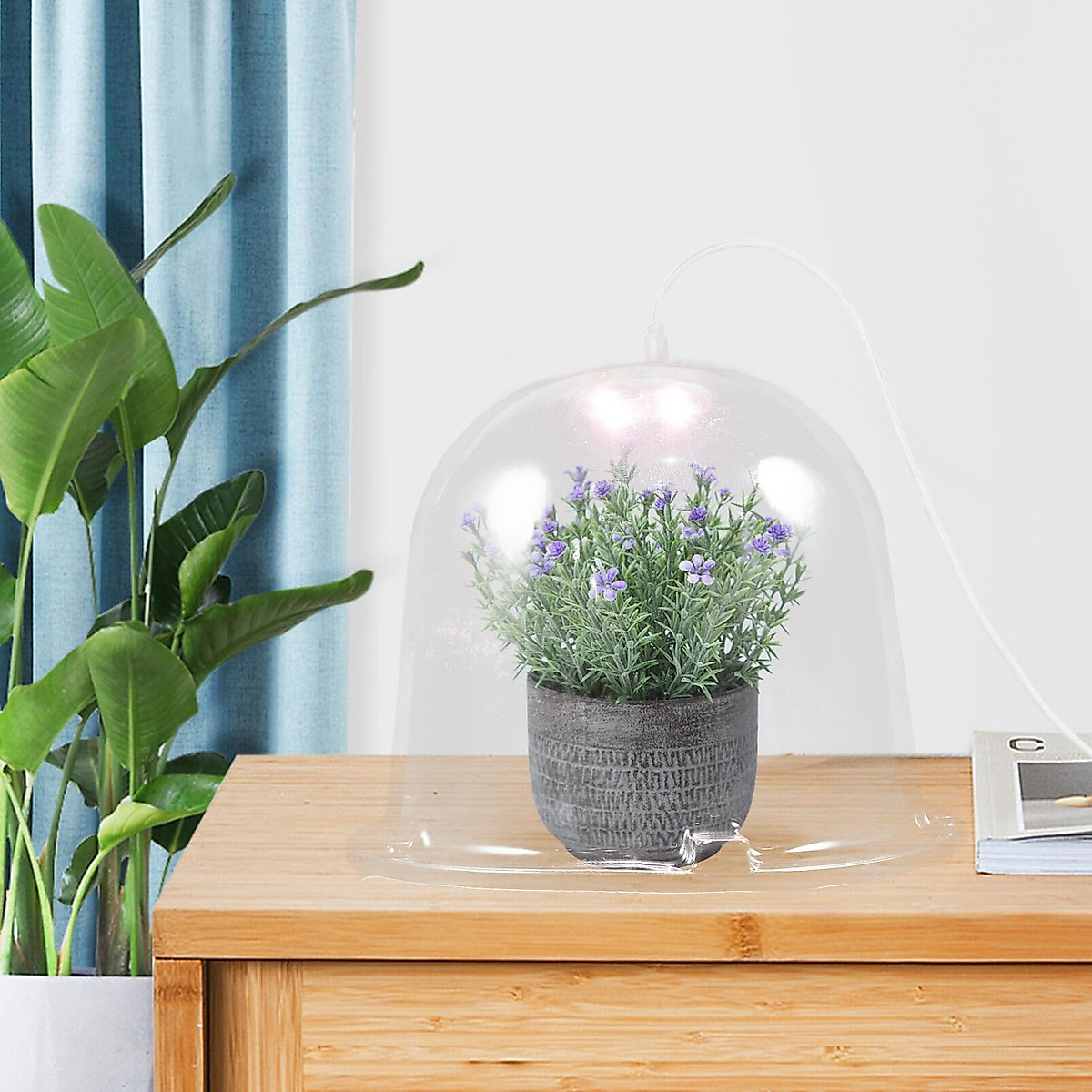 Garden Cloche Plant Protection Cover Outdoor Greenhouse Plant Cover Outdoor Plant Shelter Garden Flower Shelter Winter Plant Protector Plant Nursery Cover Bell Jar Plastic Dome