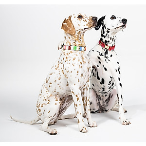 kate spade new york Cute Dog Collar with Gold Metal Details & Plastic Buckle, 15" to 22" Adjustable Dog Collar for Female or Male Dogs, Medium/Large, Adventure Stripe