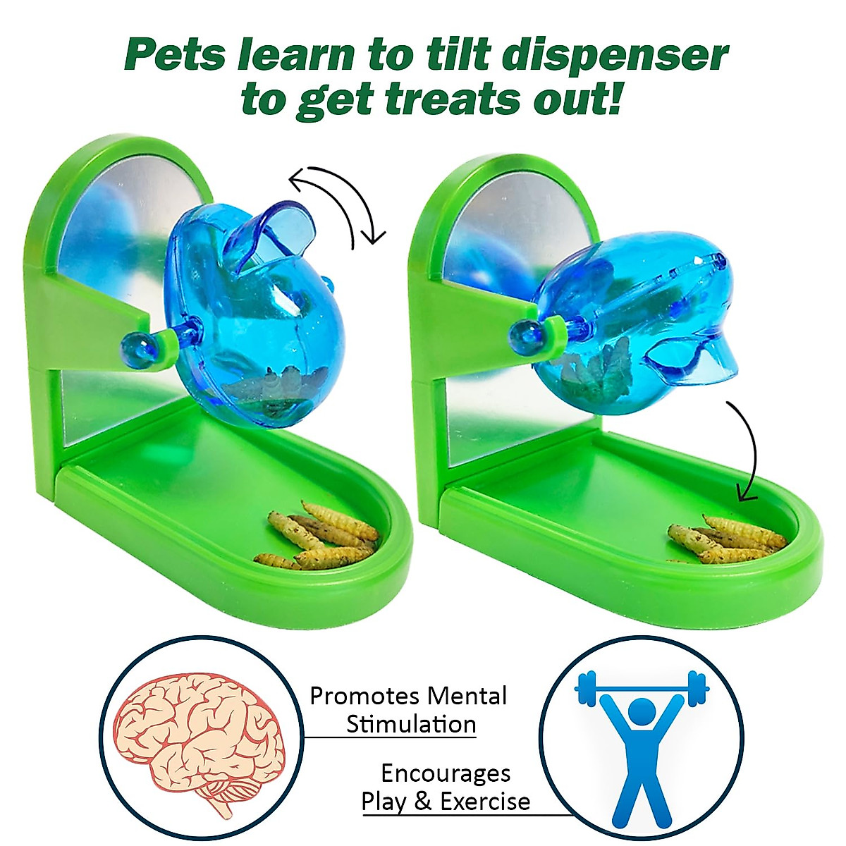 Cage Enhancement Set - Interactive Climbing Foraging Natural Branch Perch Cage Accessory Toy Bundle - for Sugar Gliders, Rats, Ferrets, Hamsters, Squirrels, Parrots, Birds, Marmosets, Degus, Monkeys
