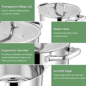 TeamFar 6QT Stainless Steel Stock Pot, Tri-ply Base Cooking Pasta Sauce Soup Pot with Glass Lid for Induction/Gas/Ceramic Stoves, Transparent Cover & Double Handles, Heavy Duty & Dishwasher Safe
