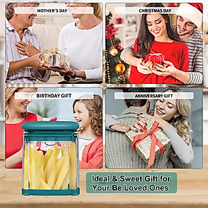 French Fry Cutter, Solucky Potato Onion Cutter, Professional Homestyle Vegetable Chopper Dicer, Great for Potatoes Carrots Cucumbers Zucchini Peppers 3/8 inch Blade(Only 1 Blade)