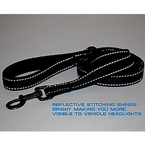 Max and Neo Reflective Nylon Dog Leash - We Donate a Leash to a Dog Rescue for Every Leash Sold (Black, 6x1)
