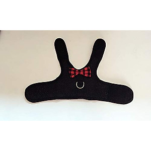 sonicbee Multipurpose Rabbits Hamster Vest Harness with Leash Bunny Mesh Chest Strap Harnesses Ferret Guinea Pig Small Animals Pet Accessories (L, Blue)