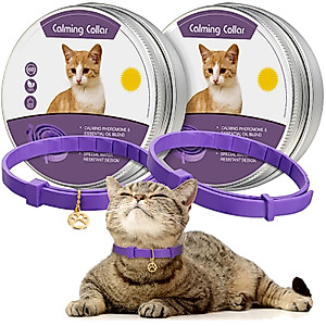 2 Pieces Calming Cat Collar Lavender Scent Relaxing Cat Collar Adjustable Longlasting Reduce Anxiety Cat Collar with Pendant for Puppy Cat Reduce Stress Aggression and Anxious Behavior, up to 15 Inch