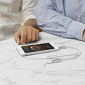 Syncwire Headphone Splitter, Nylon-Braided 3.5mm Extension Cable Audio Stereo Y Splitter (Hi-Fi Sound), 3.5mm Male to 2 Ports 3.5mm Female Headset Splitter for Apple, Samsung & More - Silver