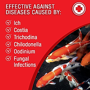 MICROBE-LIFT BSDTGAL Broad Spectrum Disease Treatment for Ponds and Outdoor Water Garden, For Live Koi Fish, Goldfish, Plants, and Decor, 1 Gallon