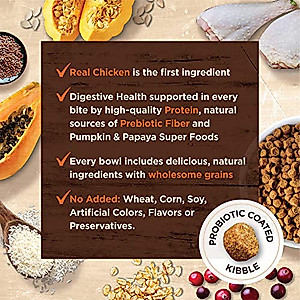 Wellness CORE Digestive Health Salmon & Rice Dry Cat Food, 5 Pound Bag