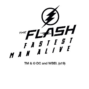 GRAPHICS & MORE The Flash TV Series STAR Labs Logo Keychain Spinning Round Chrome Plated Metal