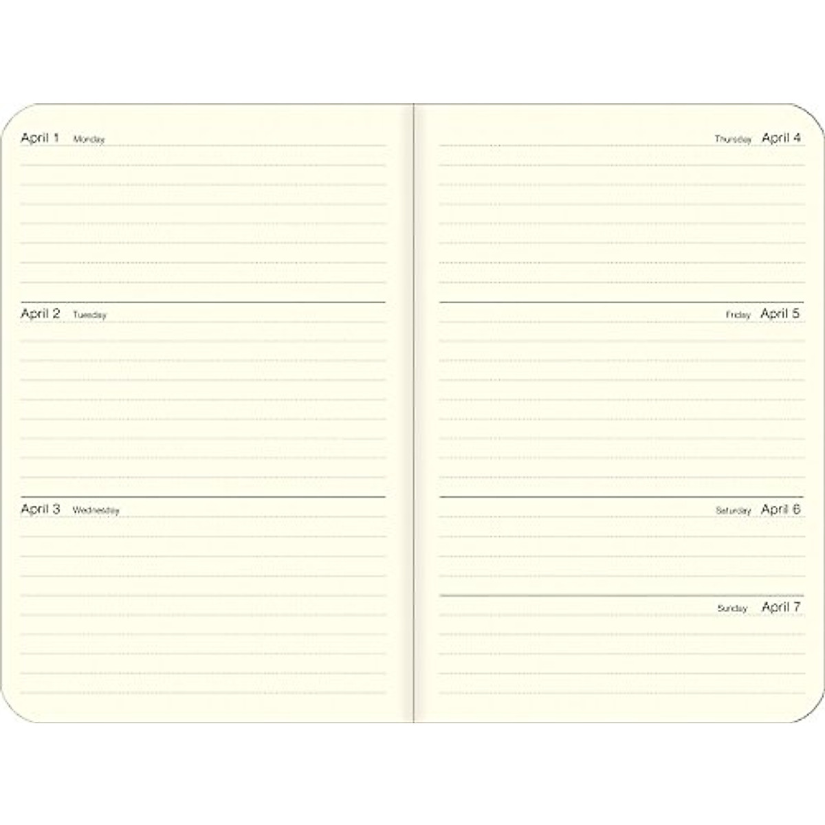 Cavallini Papers & Co. 2019 National Parks Weekly Planner, Multicolor