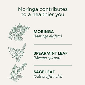 Traditional Medicinals Tea, Organic Moringa, Everyday Wellness, with Spearmint & Sage, 16 Tea Bags
