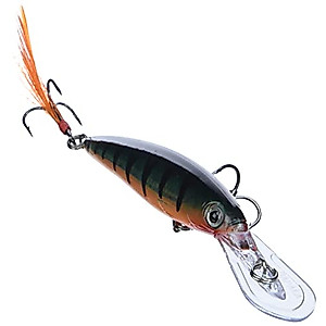 Rapala unisex adult 3.125-Inch X Rap Deep 08 Perch, Perch, 8 US