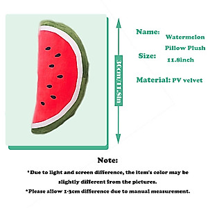 CHELEI2019 11.8" Watermelon Plush Pillow,Hugging Stuffed Fruit Plush Toy Gifts for Kids