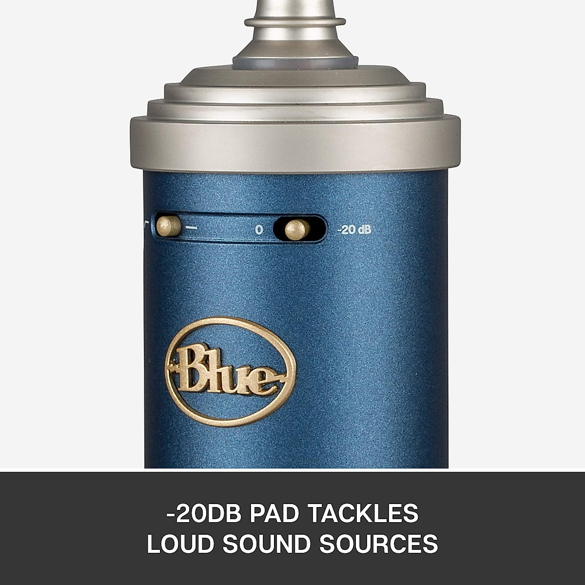 Blue Microphones Bluebird SL Large-Diaphragm Condenser Microphone (Renewed)