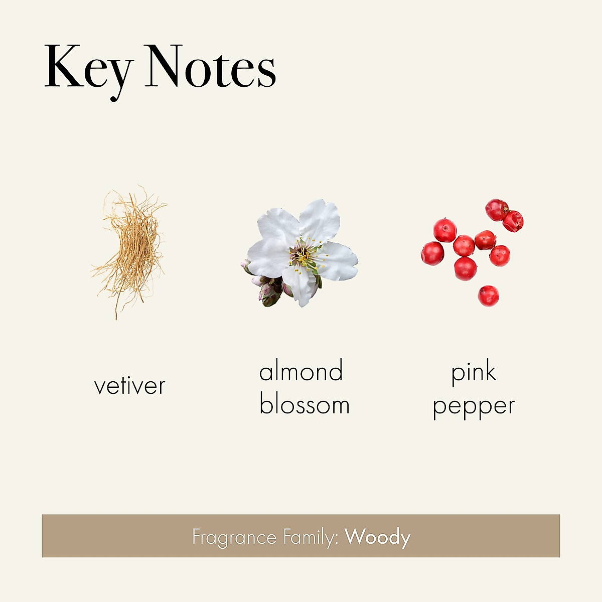 LAFCO New York Signature Scented Candle - Vetiver Sage, Country House (15.5 oz)