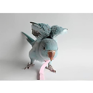 Pet Parrot Bird Harness Leash Adjustable Bird Flying Harness Traction Rope with Cute for Parrots Budgerigar Lovebird Cockatiel Mynah Outdoor Training Toy (Quaker/Sun Conure,Pink)