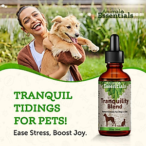Animal Essentials Tranquility Blend Herbal Formula for Dogs & Cats, 1 fl oz - Made in USA, Calming Supplement, Anxiety Relief