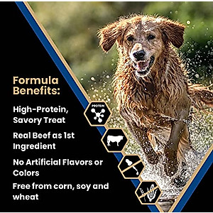 Victor Super Premium Dog Treats – Classic Hi-Pro Strips Dog Treats – Savory Dog Treats with Real Beef – Tender Beef Dog Treats for Active and Sporting Dogs, 14 oz
