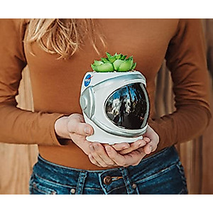 Silver Buffalo NASA Astronaut Decorative Artificial Faux Greenery Plant in Ceramic