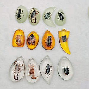 Multiple Psc Insect Amber Fossils, Luminous Amber Fossil Pendants, Educational and Scientific Amber Collections (12Pcs)