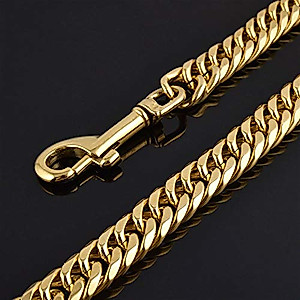 EZURI Traction Rope Pet Dog Leash Gold Chain Puppy Collar Necklace Stainless Steel Bulldog Collar Leash 17mm Small Middle Large Dog Leash (Color : A, Size : 1)