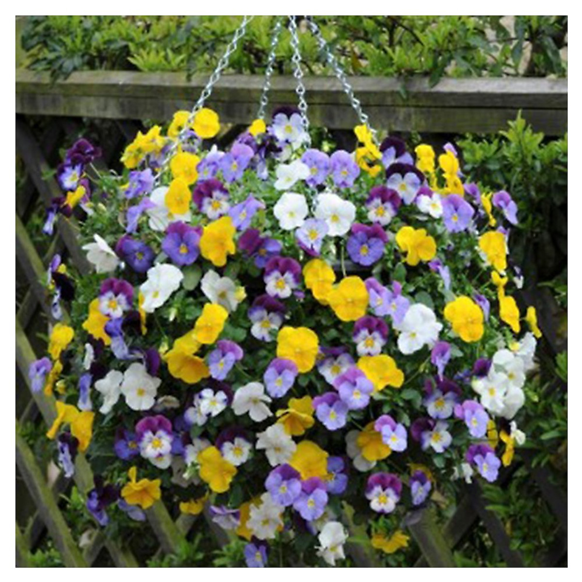 Ultimate Hanging Baskets - Strawberry, Tomato, Flower, and Herb Outdoor Planters - Use Garden Pots For Growing Plants Outside On A Deck, Fence, or Balcony (2, Mocha)