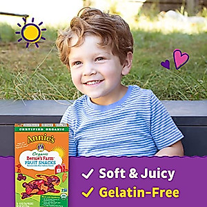 Annie's Gluten Free Organic Bernie's Farm Fruit Snacks, 4 Oz, 5 Ct