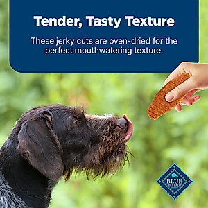 Blue Buffalo Nudges Jerky Cuts Dog Treats, Made in the USA with Natural Ingredients, Chicken & Duck, 10-oz. Bag