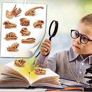 LC JoyCre Mini Dinosaur Bones for Sandbox Kids Toys Realistic Fake Dinosaur Bones for Kids Toys Dinosaur Bones for Kids to Dig Up