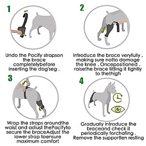 Pacify Dog Knee Brace, Dog Leg Braces for Back Leg, Dog Knee Brace for Torn ACL Hind Leg for Keep The Joint Stable and Warm(Large)