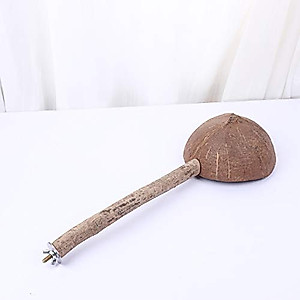 Parrot Nest Bird Feeder Bowl with Perches,2-in-1Natural Coconut Shell Food Container Playground Perch Play Stand Platform Toys for Parrot Conure Parrot Supplies