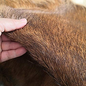 Red Deer Hide Rug Deer Skin Rug Deer Taxidermy Fireplace Deerskin Decor Reindeer Hide Area Rug Animals Mat Carpet for Home, Office, Bedroom Taxidermy Hunting Collectable 3.2x2.1ft