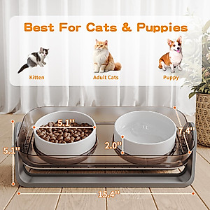 Oneluck Elevated Cat Bowl, Raised Ceramic Cat Dish,100% Waterproof Cat and Dog Bowls,15° Tilted Raised Stand Slip Resistant Raised Edges, Catch Water, Food Mess, No Spills,
