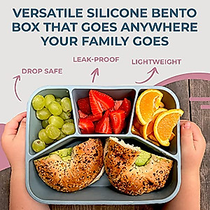 Spoondrift 100% Food Grade Eco-Friendly Leak-Proof Silicone Bento Box Lunchbox, Microwave Safe | For Child And Adult, 4 Compartment, Choose from 6 Colors, Includes 1 Box (Terracotta)