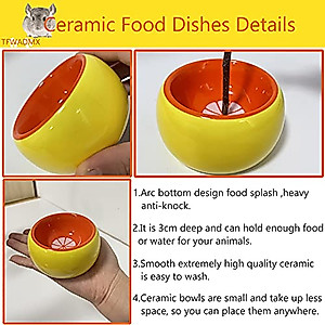 Tfwadmx 2 Pcs Hamster Food Bowl, Small Animals Ceramic Feeding Water Dish for Guinea Pig Rat Hedgehog Rabbit Gerbil Mouse Rodent