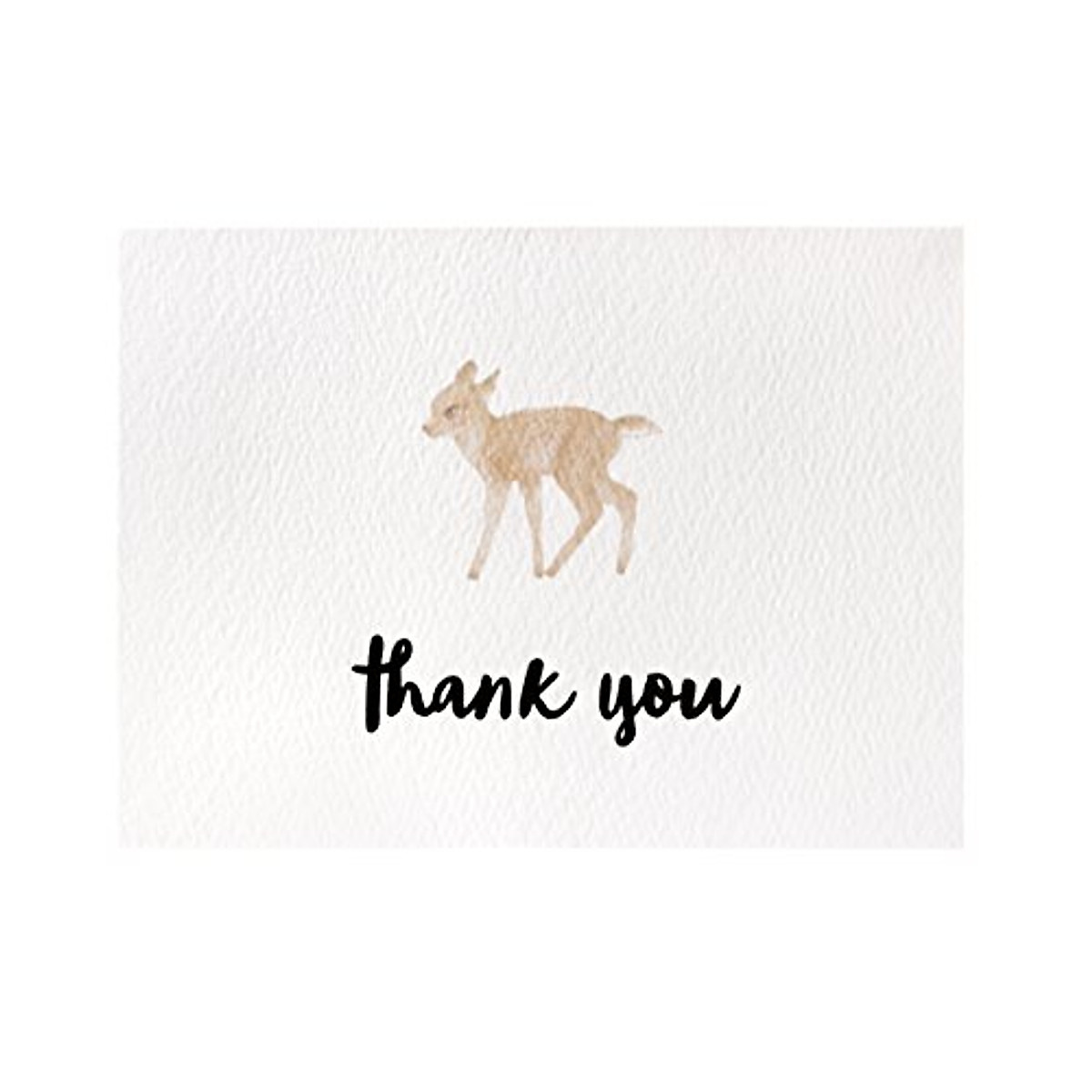 Cute Woodland Animal Thank You Cards and Gray Self Seal Envelopes 36 Pack - Opie's Paper Company