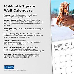 Magnificent Horses | 2024 12 x 24 Inch 18 Months Monthly Square Wall Calendar | Foil Stamped Cover | July 2023 - December 2024 | Plato | Animals Equestrian