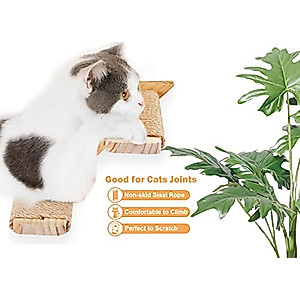 Cat Climbing Stair Shelf Wall Mounted Reversible Left & Right Direction, Cat Stairway Shelf for Climbing with Sisal Rope Ladder Cat Wall Furniture