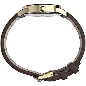 Timex Men's Easy Reader Bold 38mm Watch – Gold-Tone Case White Dial with Brown Leather Strap