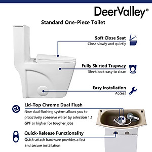DeerValley Elongated One Piece Toilet with Comfortable Chair Seat Height 17", Dual Power Flush Toilet 1.1/1.6 GPF and 12'' Rough-In Toilet Bowl DV-1F52102
