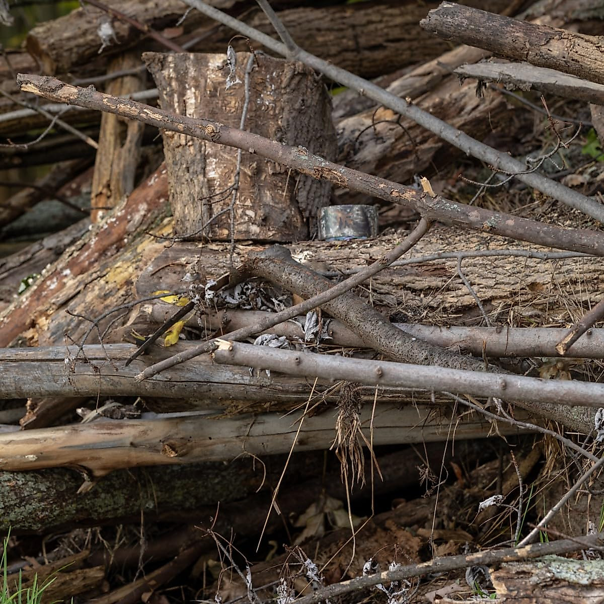 Duck Brand 1409574 Printed Duct Tape, 1.88 Inches x 10 Yards, Realtree Camouflage