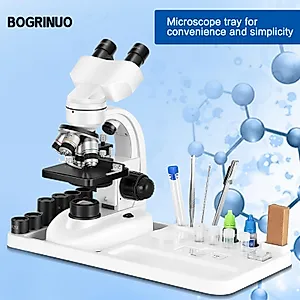 Compound Binocular Microscope, WF10x and WF25x Eyepieces,40X-2000X Magnification, LED Illumination Two-Layer Mechanical Stage microscopes for Adults