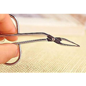 Professional Stainless Steel Eyebrow Scissor Pliers Straight Tip Flat Tweezers Clip Hair Remover Eyebrows Shaped Tool For Lady Women Men