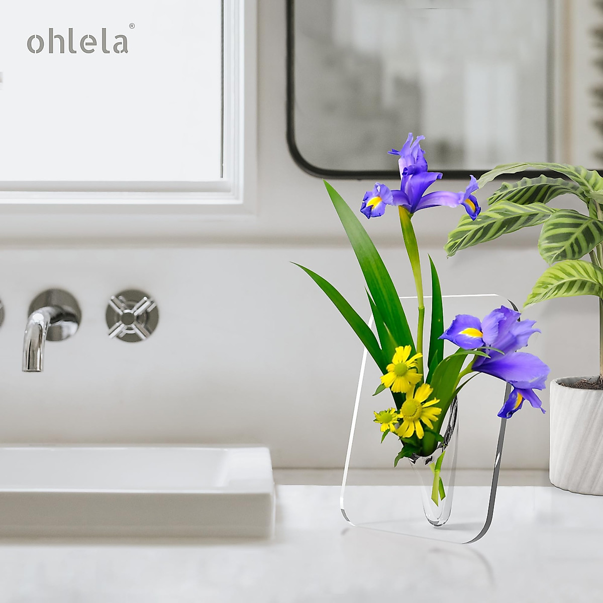 ohlela Photo Frame Shaped Clear Acrylic Flower Vase - 8 x 6 Inch Acrylic Flower Frame Vase for Centerpieces. Picture Frame Vase Flower Arrangement Holder as a Unique Flower Vase for Room Decor