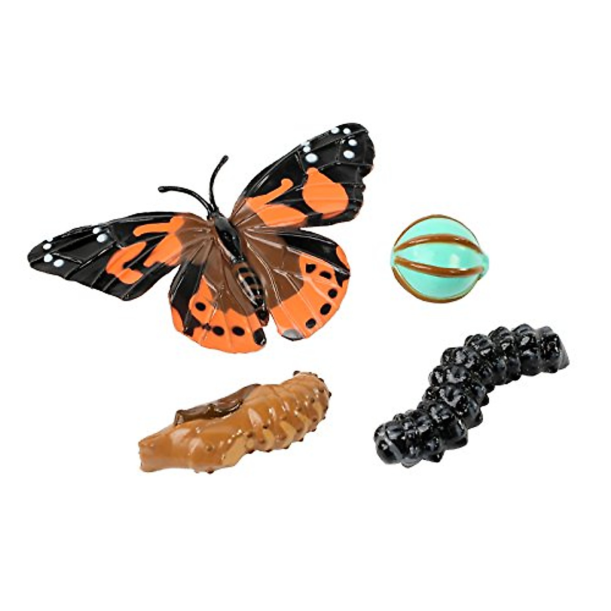 Insect Lore 5 Live Caterpillars Cup of Caterpillars Butterfly Kit Refill - Plus Butterfly Life Cycle Stages Toy Figurines - Shipped Now